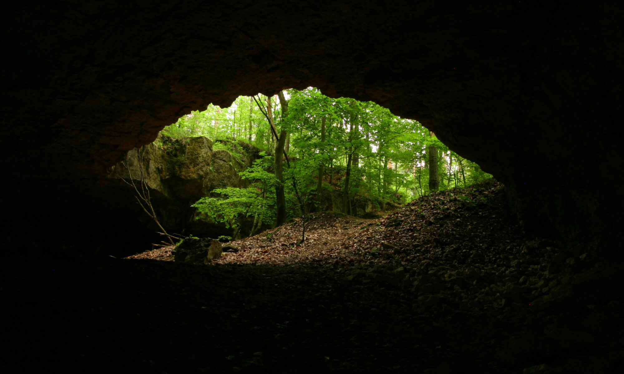 The Survivalist Cave – Don’t just survive, thrive!